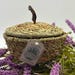 Handmade Pine Needle Box With Lid and Twig Handle | Natural Brown and ...