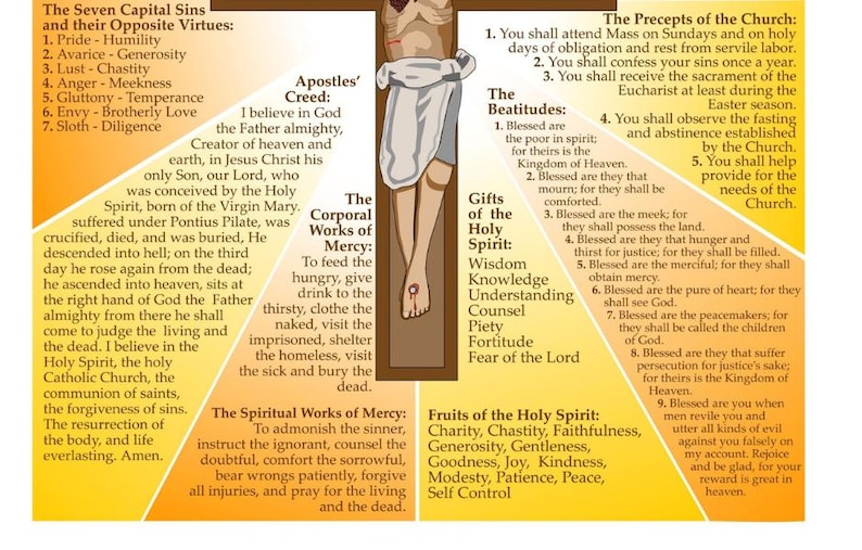 Catholic Basics Posters and Handouts- What Every Catholic Should Know ...