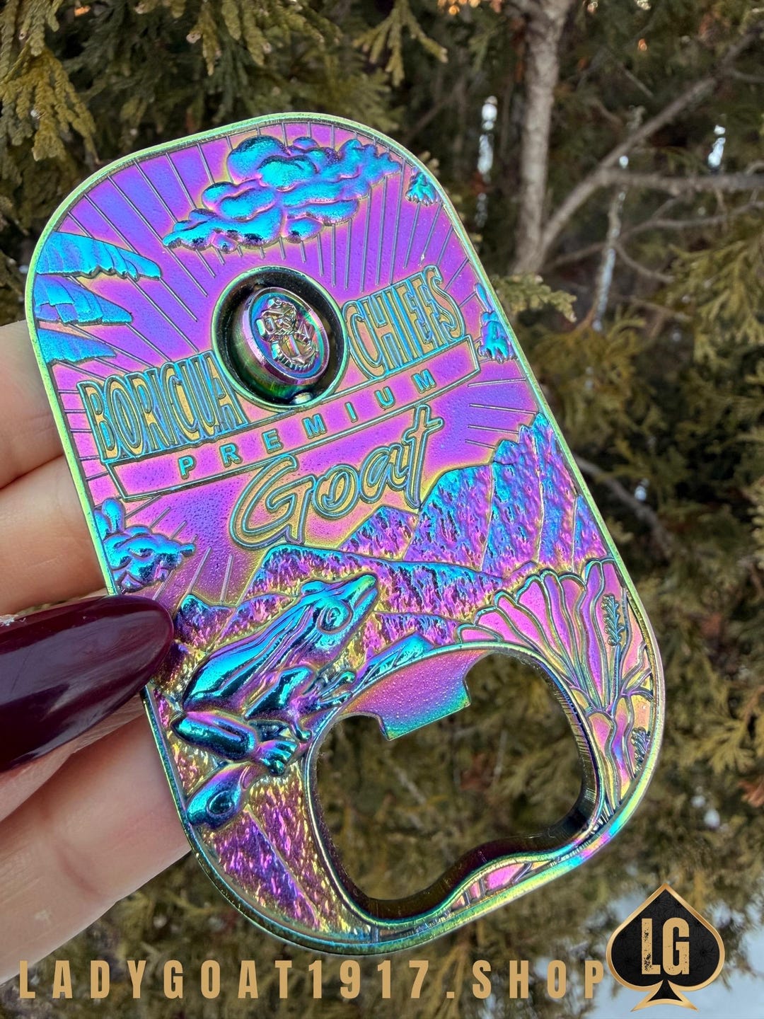 Lady Goat | Chick Chief | Senior | Master | Goat Challenge Coin | Chief ...