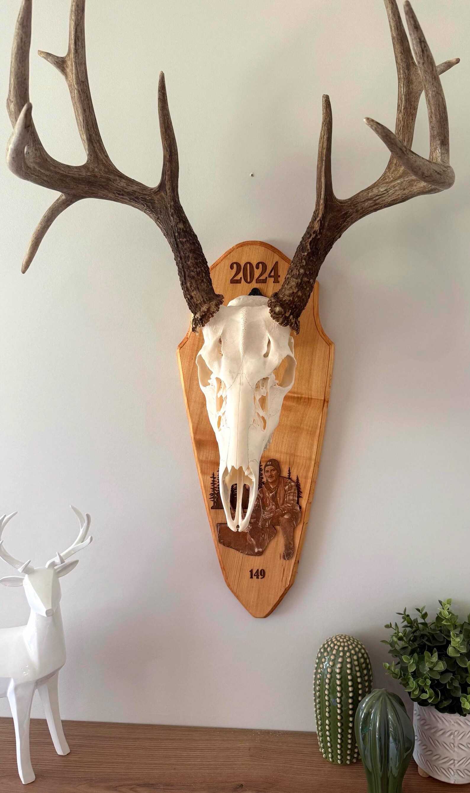 Laser Engraved Euro Mount Plaque: Custom Deer Skull Display - Etsy