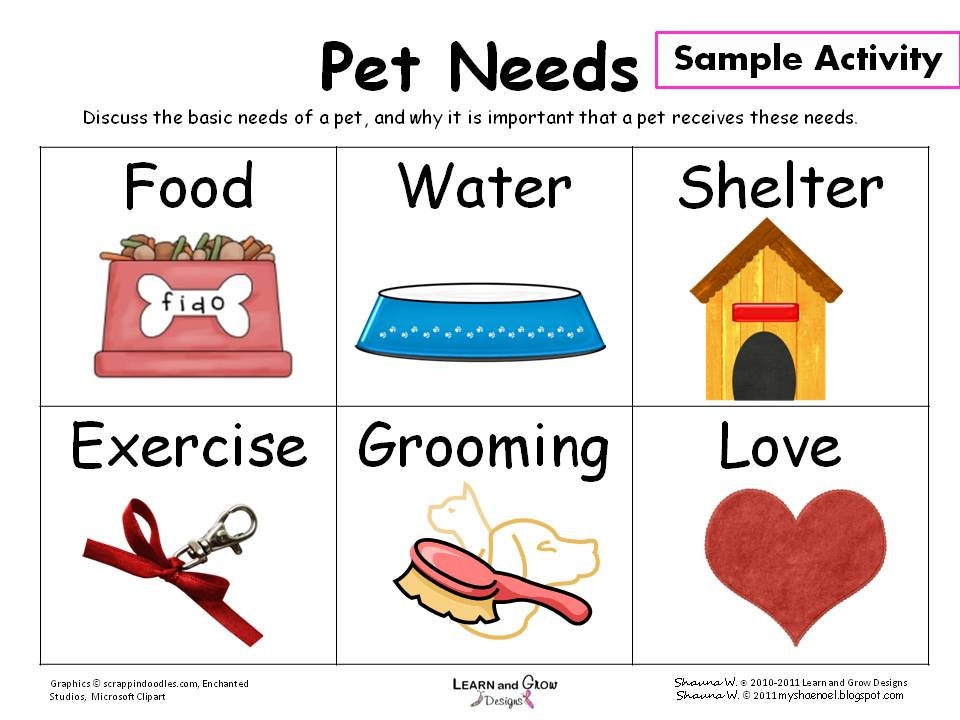 My Little Pet Themed Learning Unit - Contains 62 Pages Of: Art ...