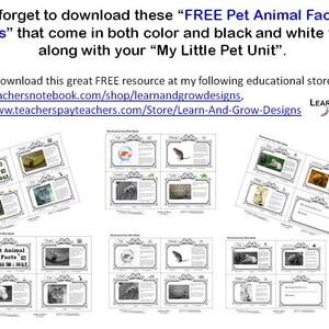 My Little Pet Themed Learning Unit - Contains 62 Pages Of: Art ...