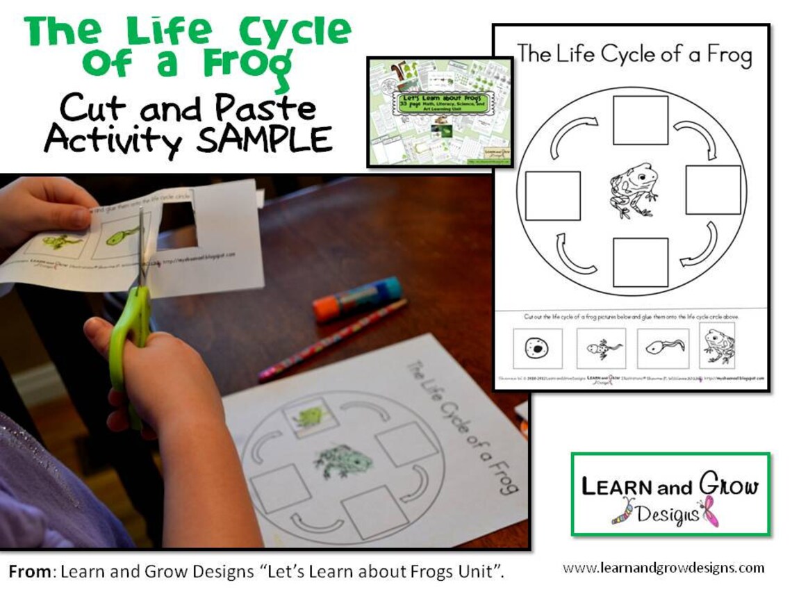 Let's Learn About Frogs Themed Learning Unit - Etsy