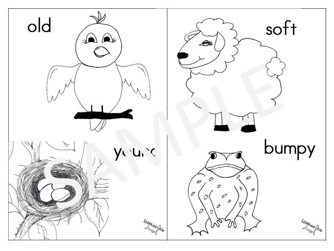 Animal Opposites Printable Coloring Book - Etsy