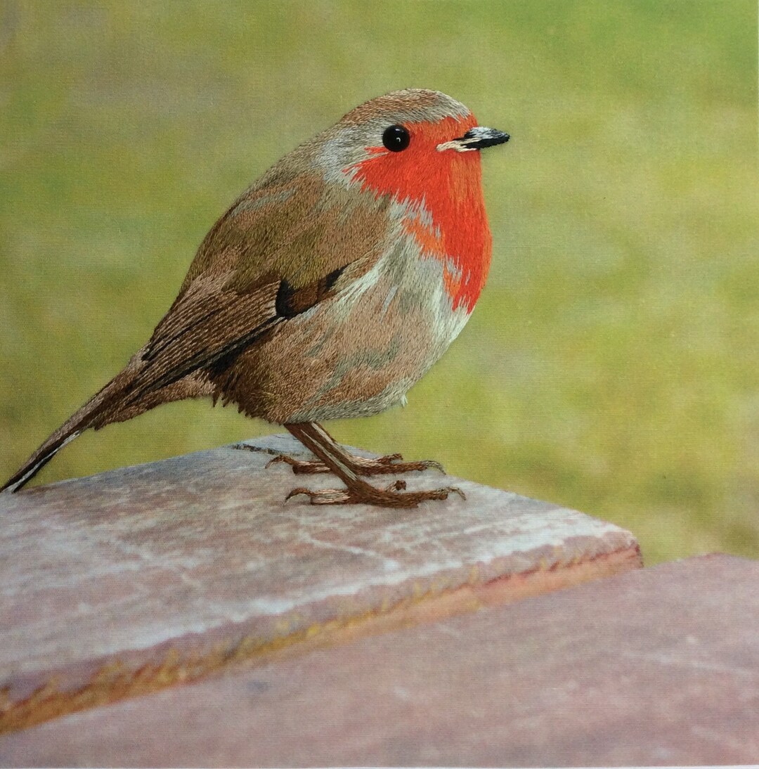 Robin - Silk Shading, Hand Embroidery, Hand Stitched, Mixed Media ...