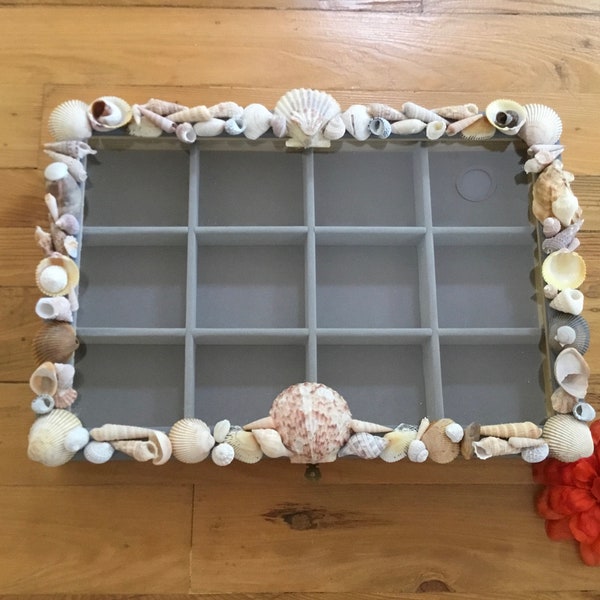 Seashell Display Box - Etsy