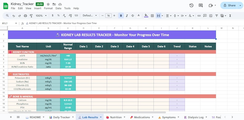 CKD Kidney Health Tracker Bundle, Daily Log (PDF & Excel) - Etsy