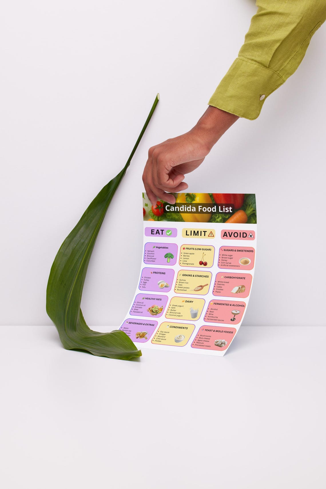 Candida Food List Printable PDF | Yeast Overgrowth Diet Guide | Anti ...