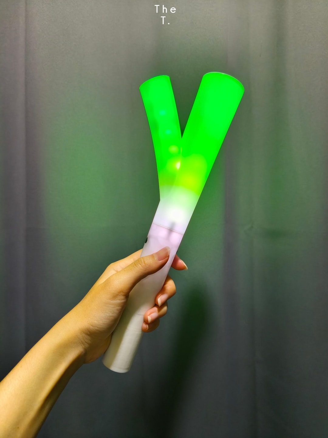 Hatsune Miku Leek Light Stick [30 Cm] | Vocaloid | Concert Version - Etsy