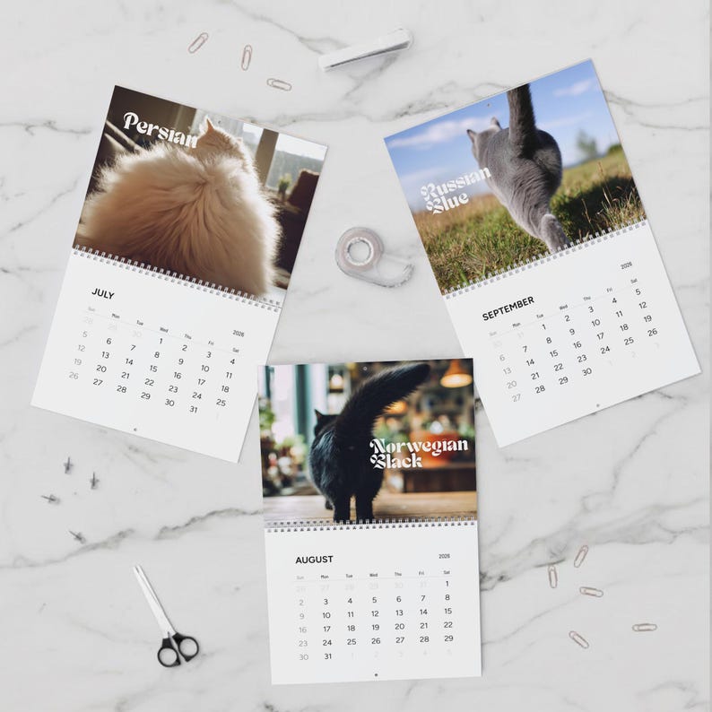 Kitty Butts 2026 Calendar – Funny Cat Lover Gift - Etsy