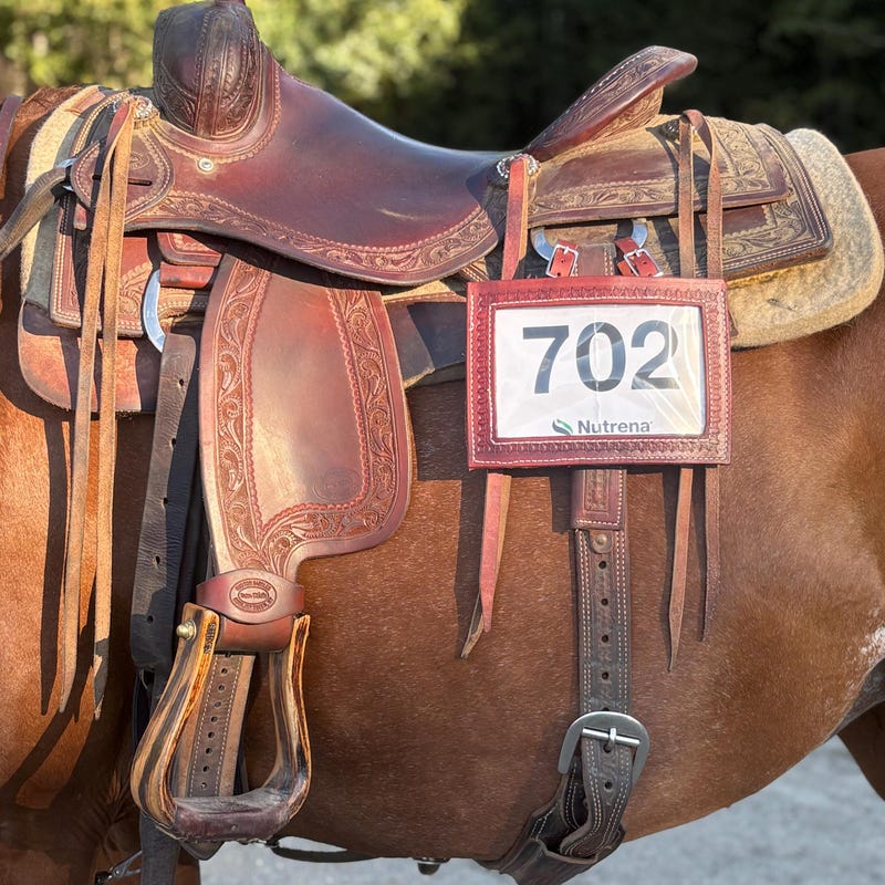 Custom Show Numbers - Etsy