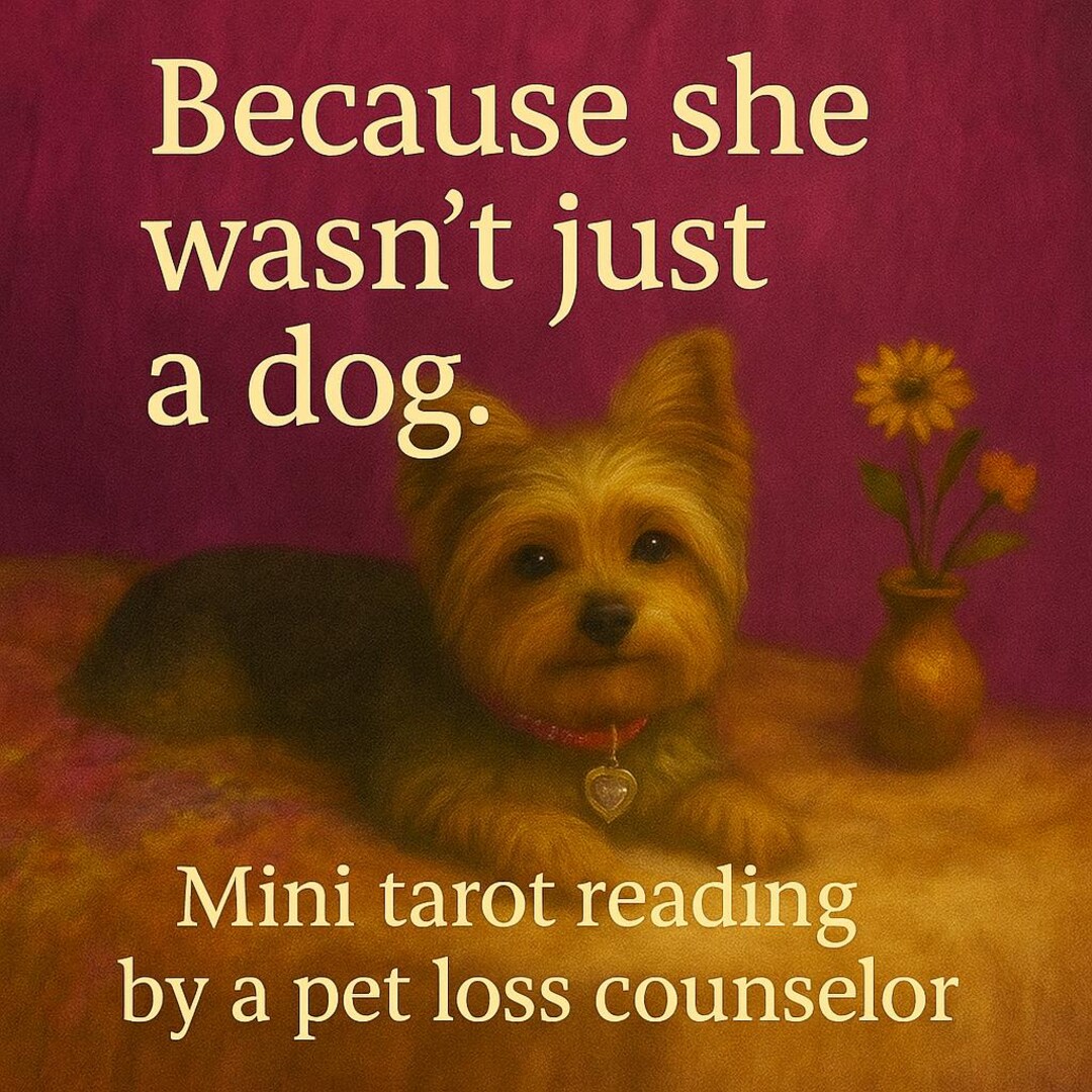 Pet Loss Mini Reading | 1 Oracle + 1 Tarot Card | Gentle, Heartfelt ...