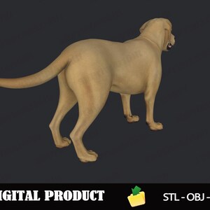 Labrador Retriever 3D Model STL File, Printable Dog Figure for 3D ...