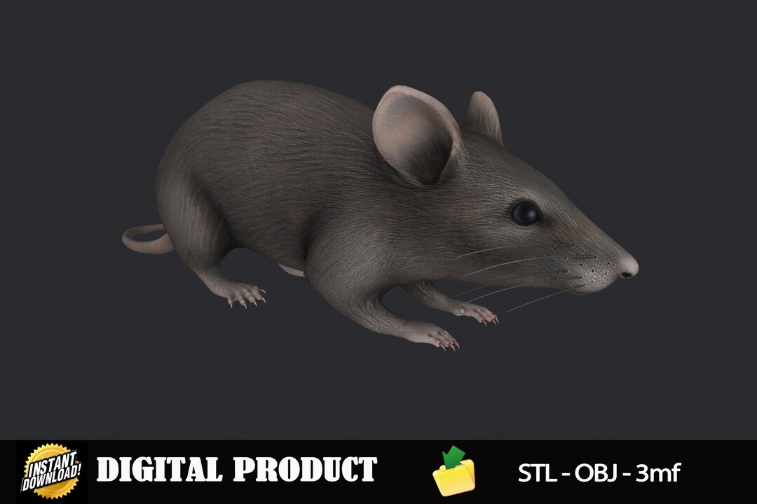 Mouse 3D Model STL, OBJ, 3MF Files for 3D Printing, Printable Animal ...