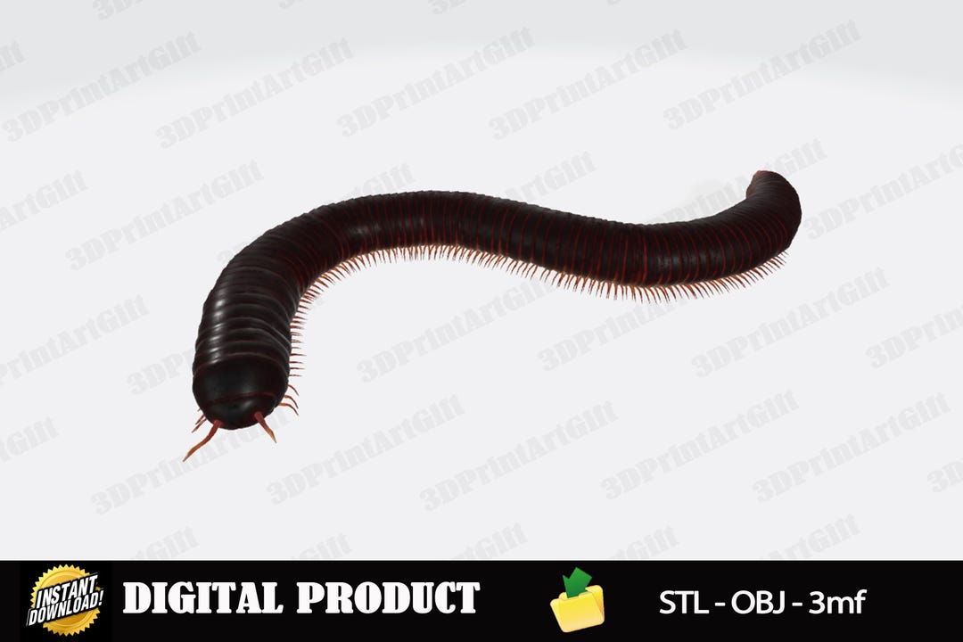 Millipede 3D Model Ready to Print, Insect STL OBJ File, Realistic ...