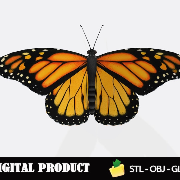 Butterfly Models - Etsy UK