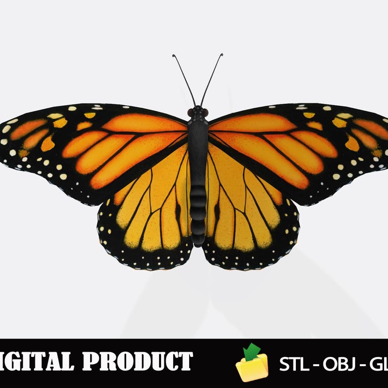 Butterfly Models - Etsy UK