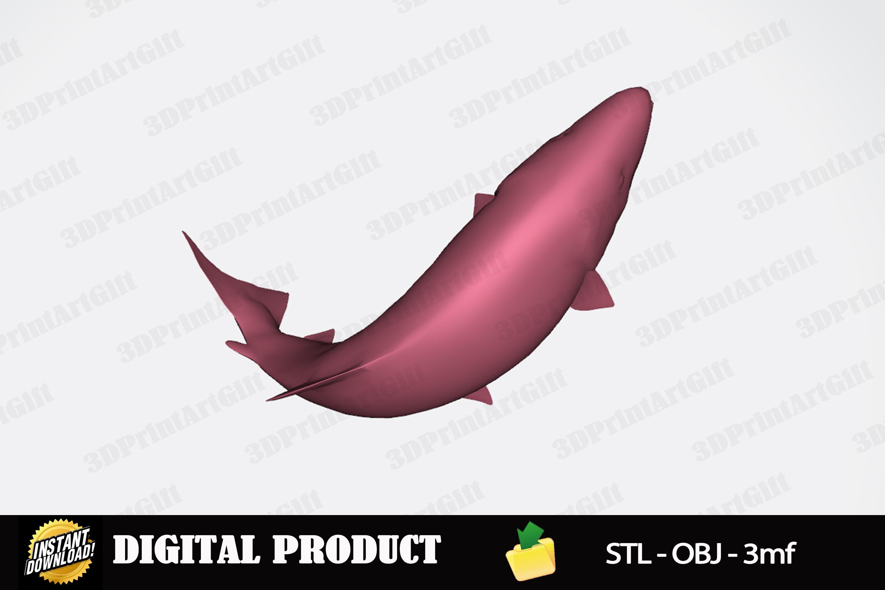 Salmon Fish 3D Model Digital Files, STL OBJ 3mf Formats, Ready to Print ...