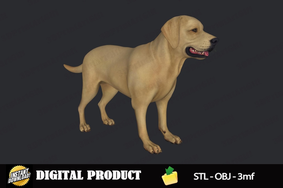 Labrador Retriever 3D Model STL File, Printable Dog Figure for 3D ...