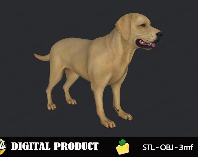 Labrador Retriever 3D Model STL File, Printable Dog Figure for 3D ...