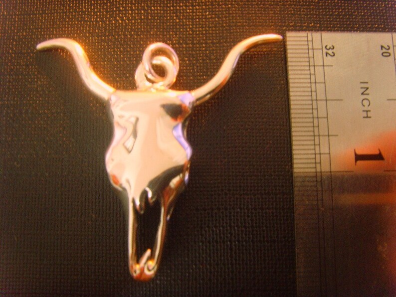 Bull Skull Texas Longhorn, Cowboy Rodeo Locket Pendant - Etsy