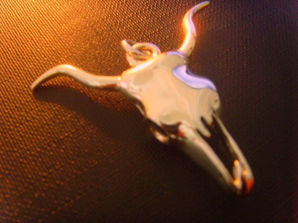 Bull Skull Texas Longhorn Cowboy Rodeo Locket Pendant | Etsy