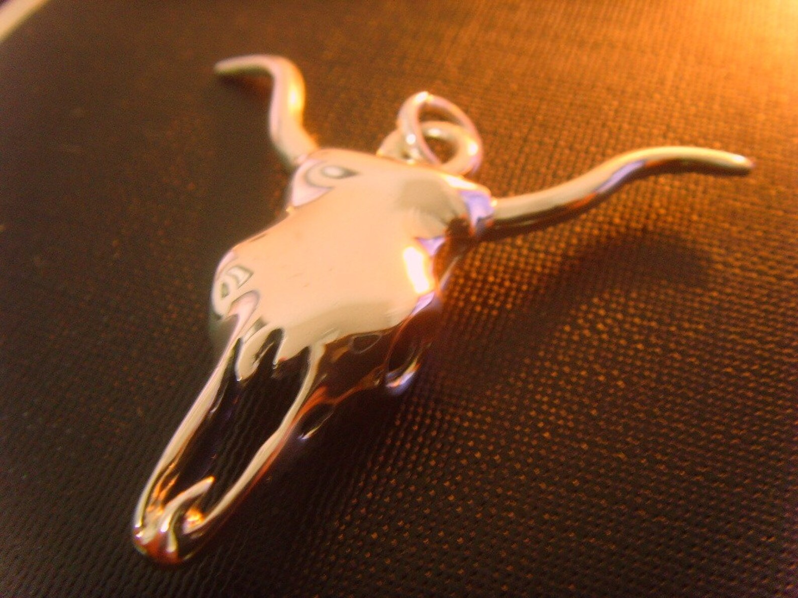 Bull Skull Texas Longhorn, Cowboy Rodeo Locket Pendant - Etsy