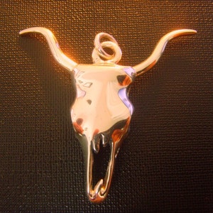 Bull Skull Texas Longhorn, Cowboy Rodeo Locket Pendant - Etsy
