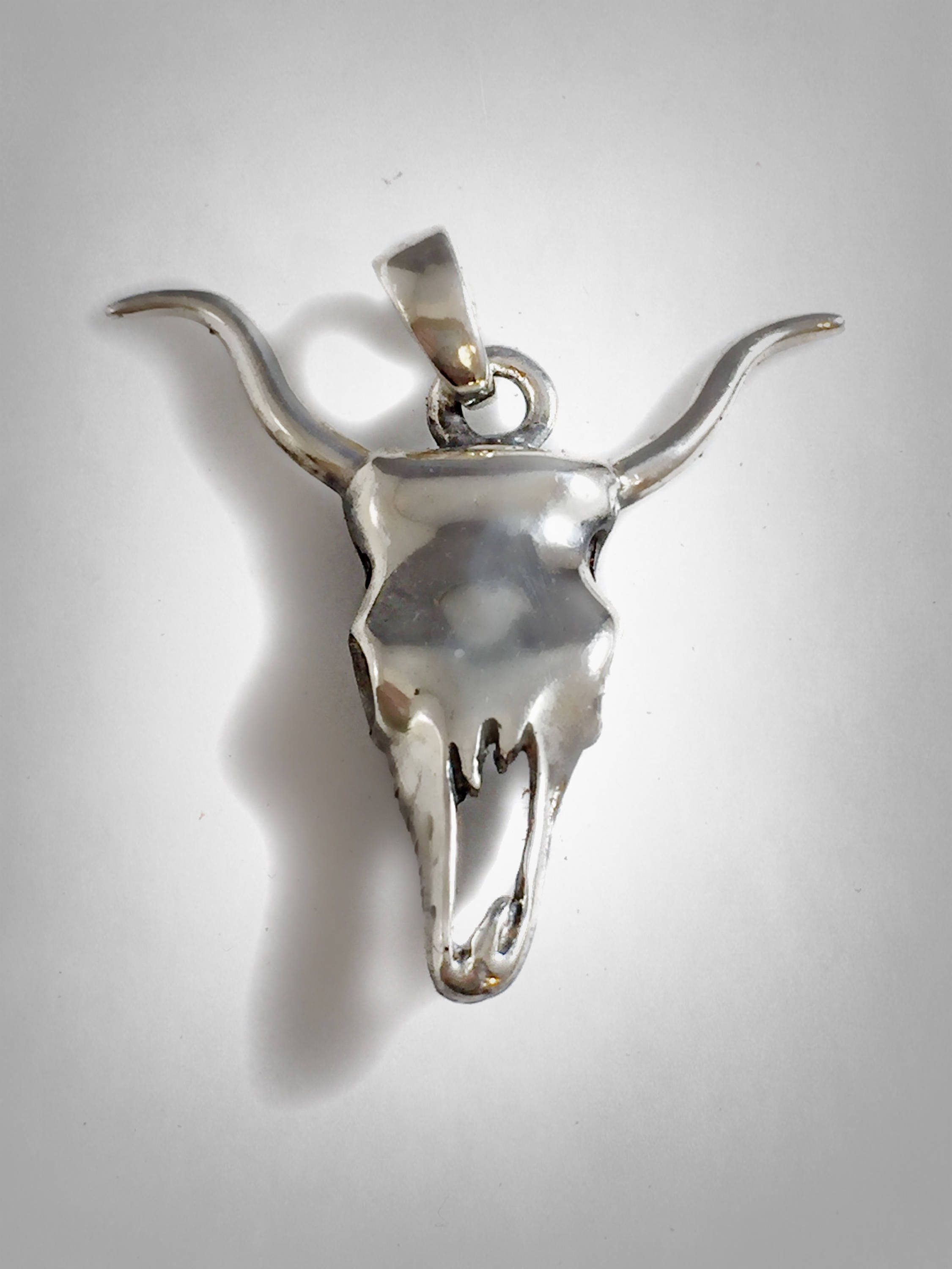 Bull Skull Texas Longhorn, Cowboy Rodeo Locket Pendant - Etsy