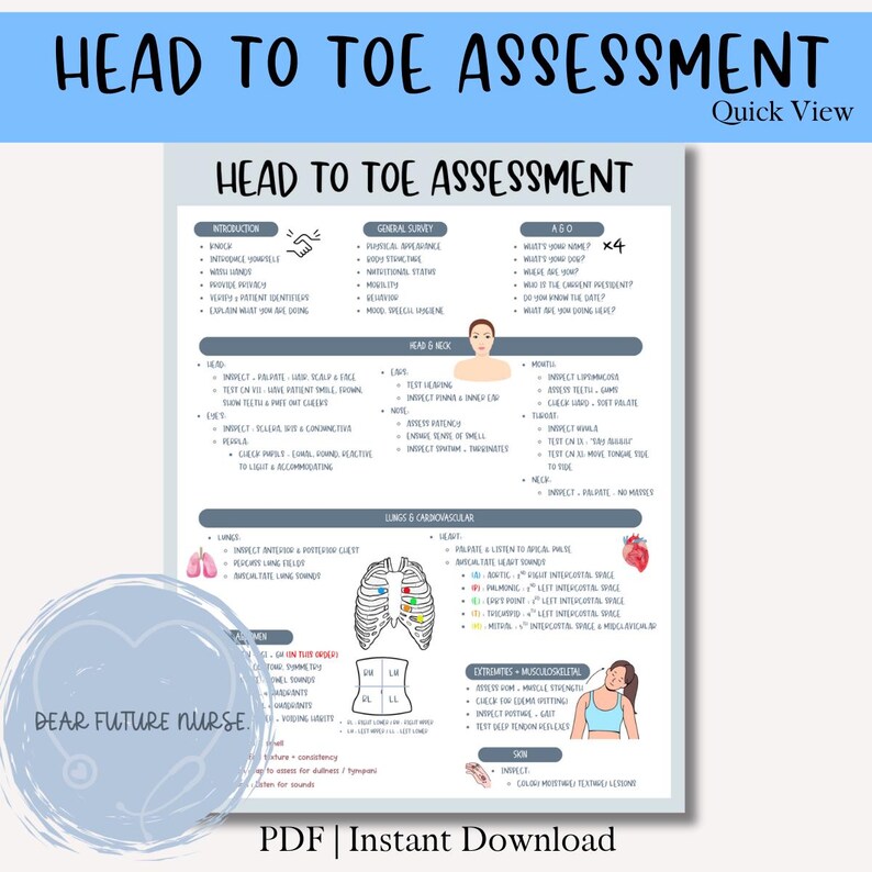 Head to Toe Assessment Template for Nursing Students, Instant Download PDF, Nursing School Study ...