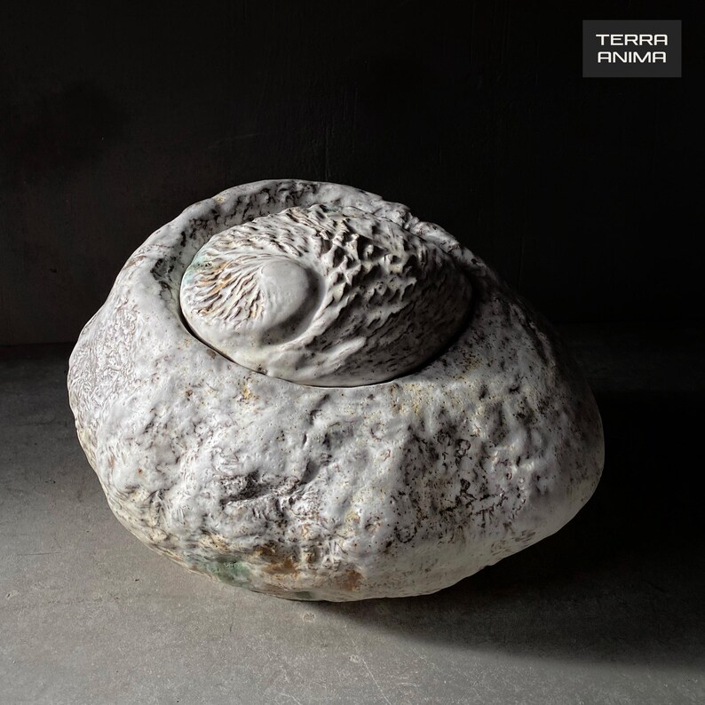 Cremation Ceramic Urn for Ashes "the Shell I" - Etsy