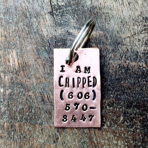 I'm MICRO CHIPPED Scan Me to Find My Family. Dog Tag With - Etsy