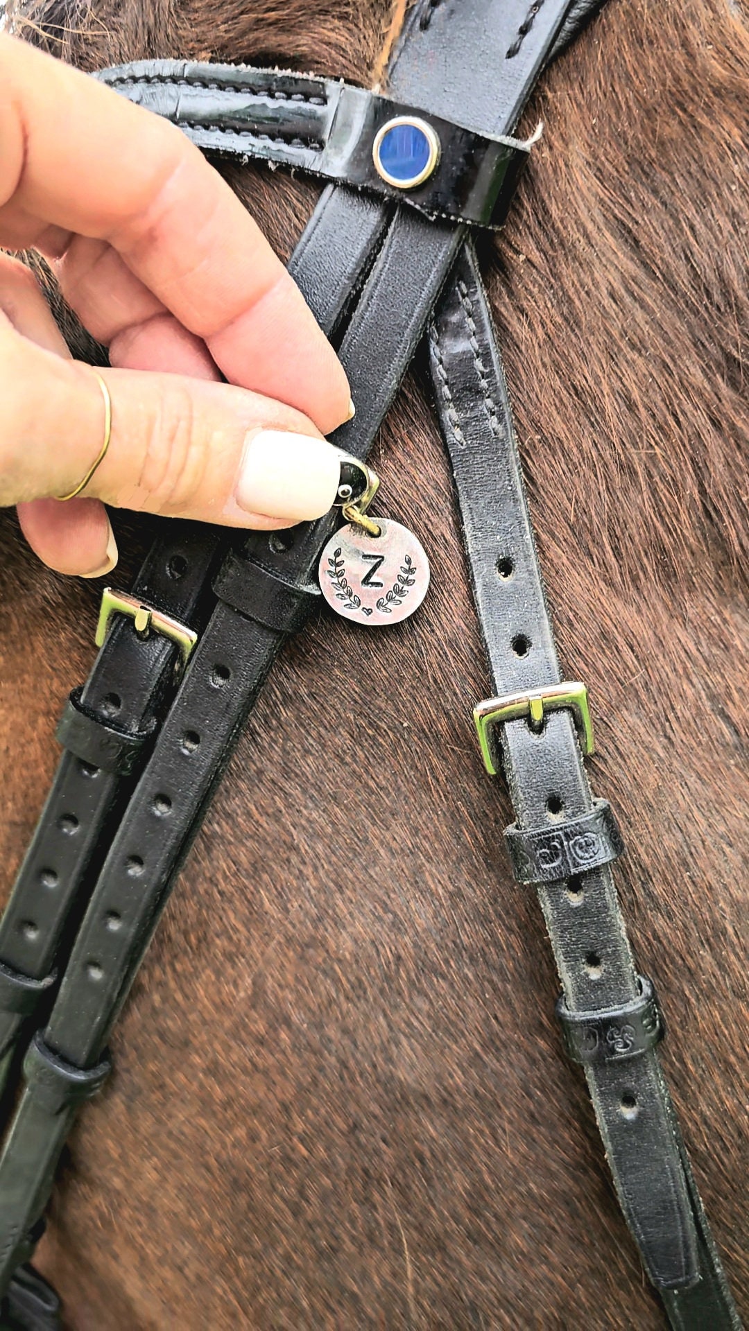 Custom Horse Bridle Tag, Silver or Solid Brass. Monogram or Name ID Tag ...