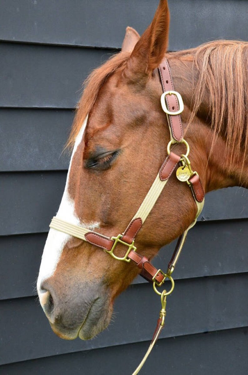 SOLID Brass HALTER Tag, Hand Stamped Personalized Custom Tags ...