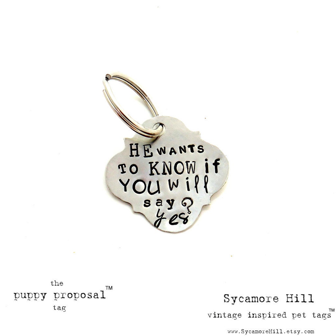 The PUPPY PROPOSAL Pet Tag. He Wants to Know If You Will Say Yes. Hand ...