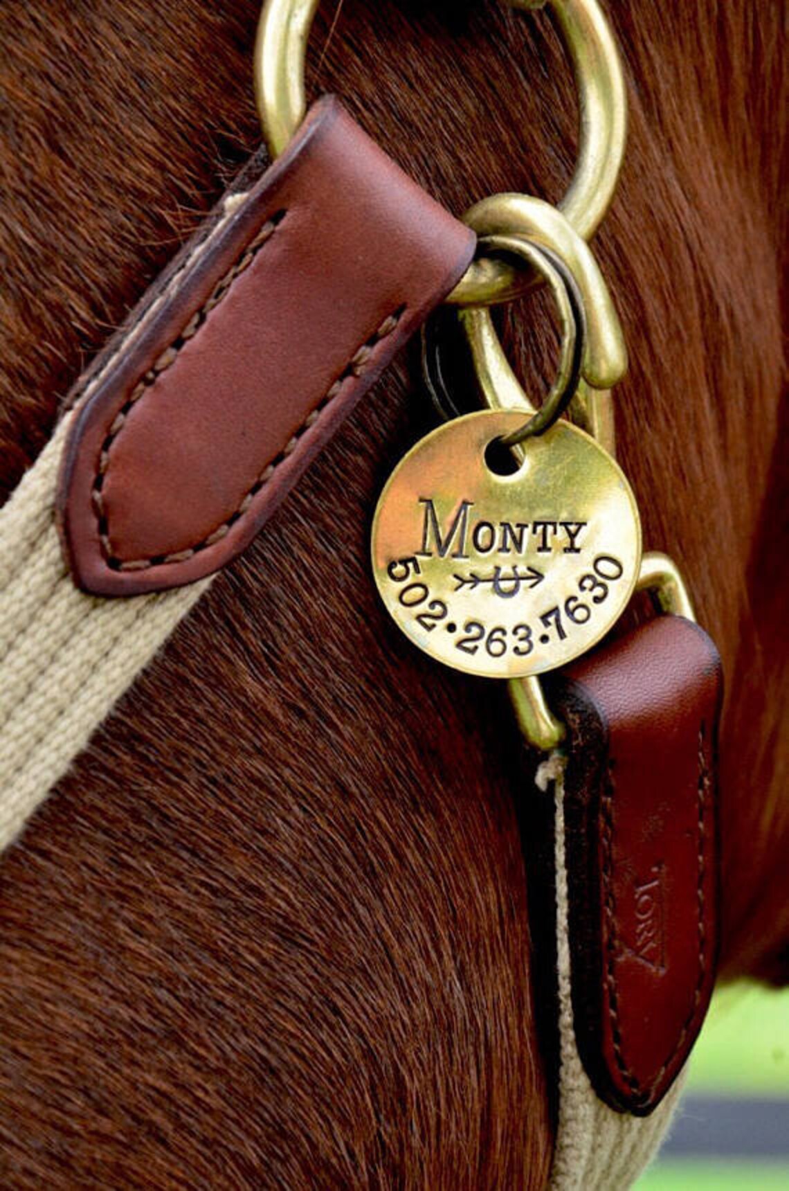 SOLID Brass HALTER Tag Hand Stamped Personalized Custom Tags. | Etsy