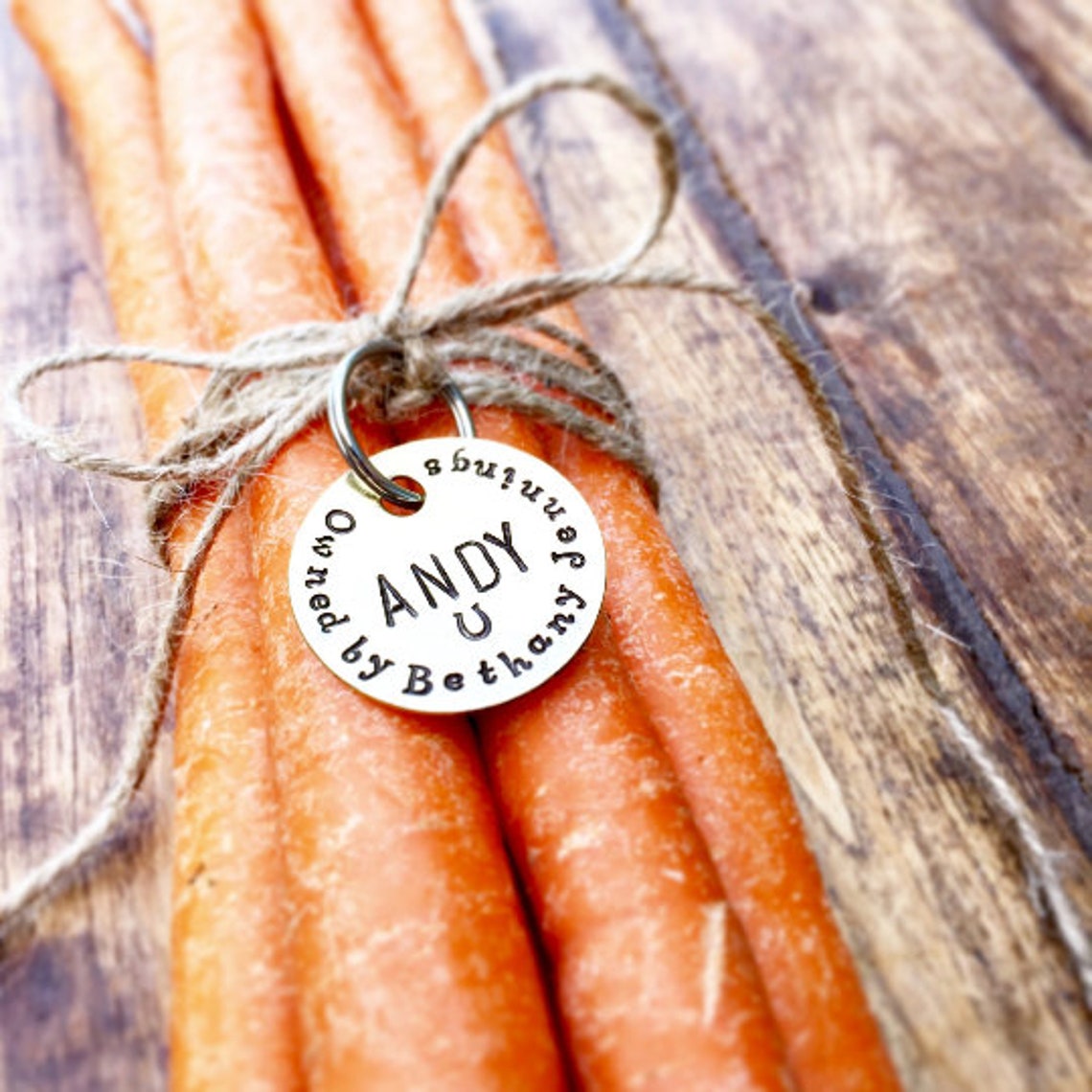 SOLID Brass HALTER Tag Hand Stamped Personalized Custom Tags. | Etsy