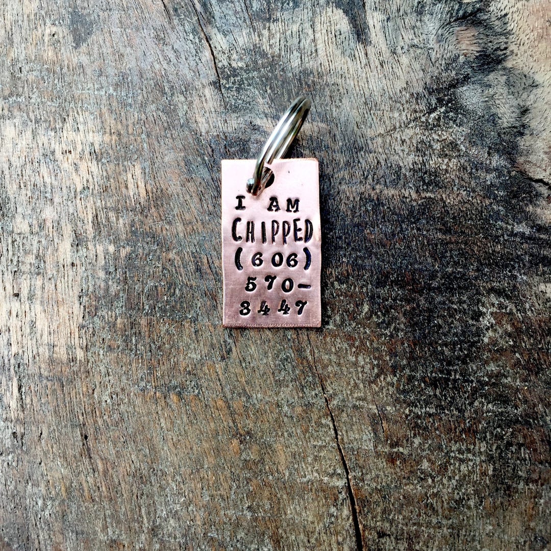 I'm MICRO CHIPPED Scan Me to Find My Family. Dog Tag With Phone Number ...