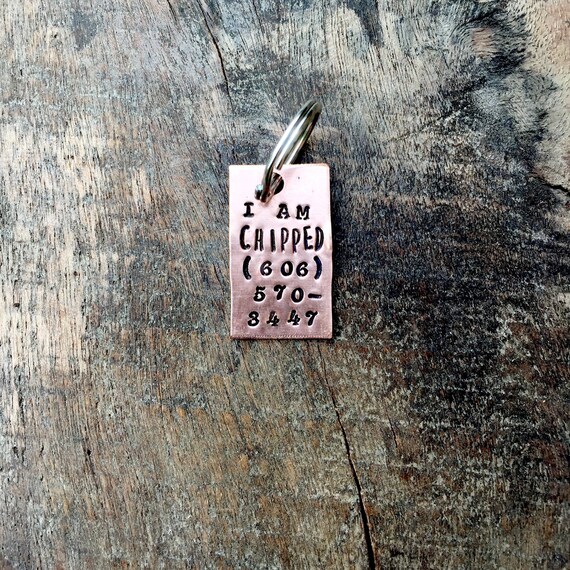I m MICRO CHIPPED Scan Me To Find My Family Dog Tag With Etsy i-m-micro-chipped-scan-me-to-find-my-family-dog-tag-with-etsy
