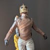 The Solar Paragon | Vanguard Champions by Nice X Collectibles | 1/6 ...