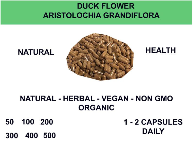 A Gift From Indonesian Nature for All of You - Duck Flower Capsules ...