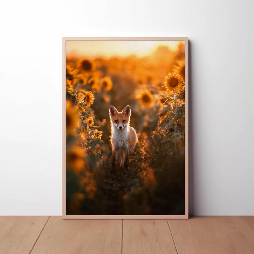 Fox in Sunflower Field – Cinematic Golden Hour Printable Wall Art - Etsy
