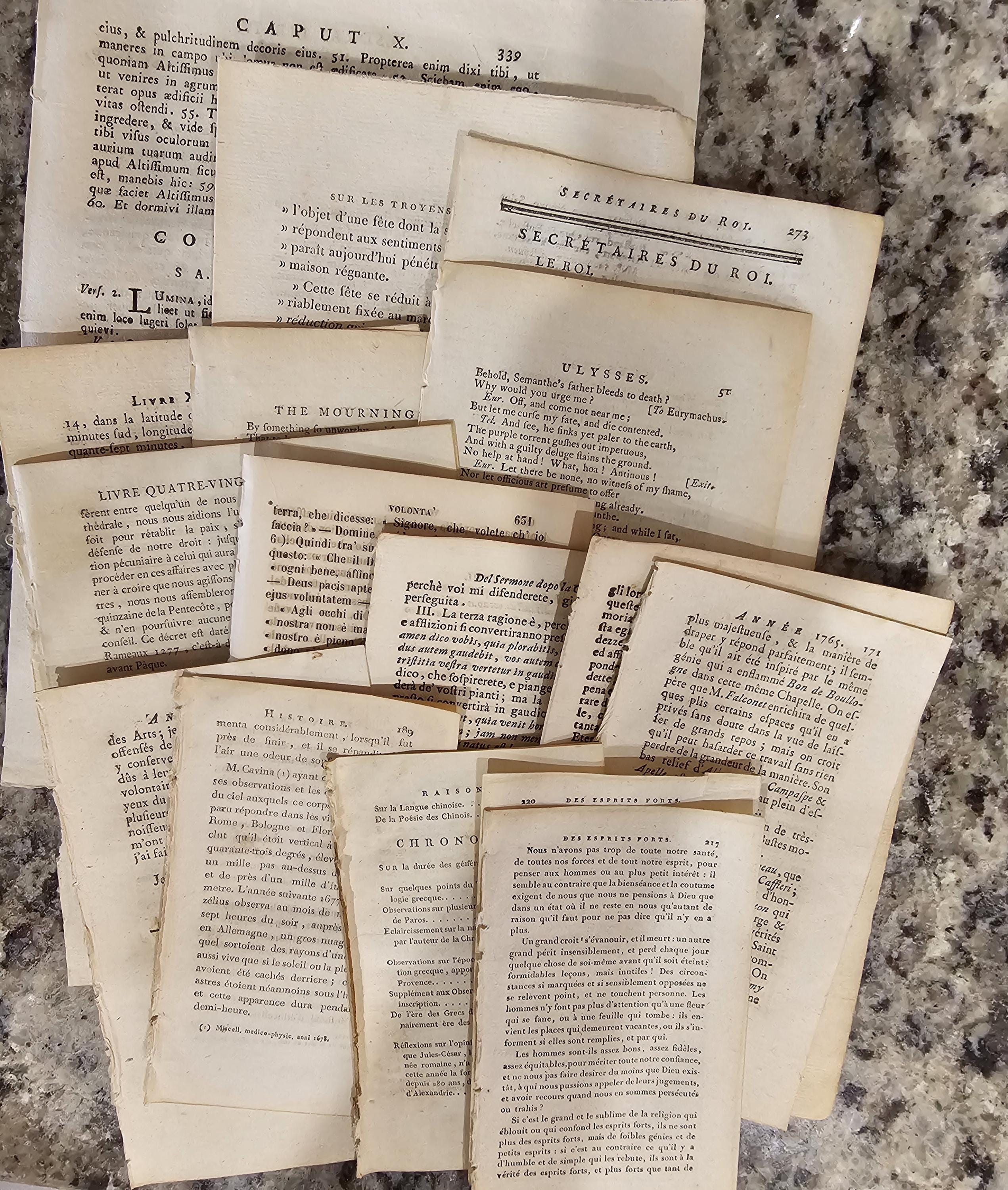 1800s Rag Paper Book Pages - 30 Pages - Etsy