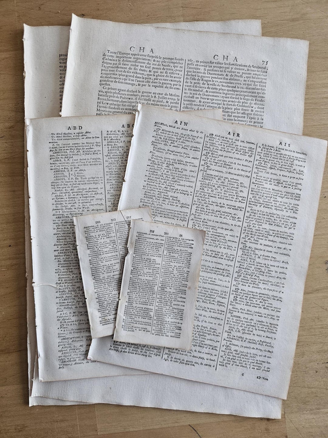 1700s Rag Paper Dictionary Pages -12 Pages - Etsy