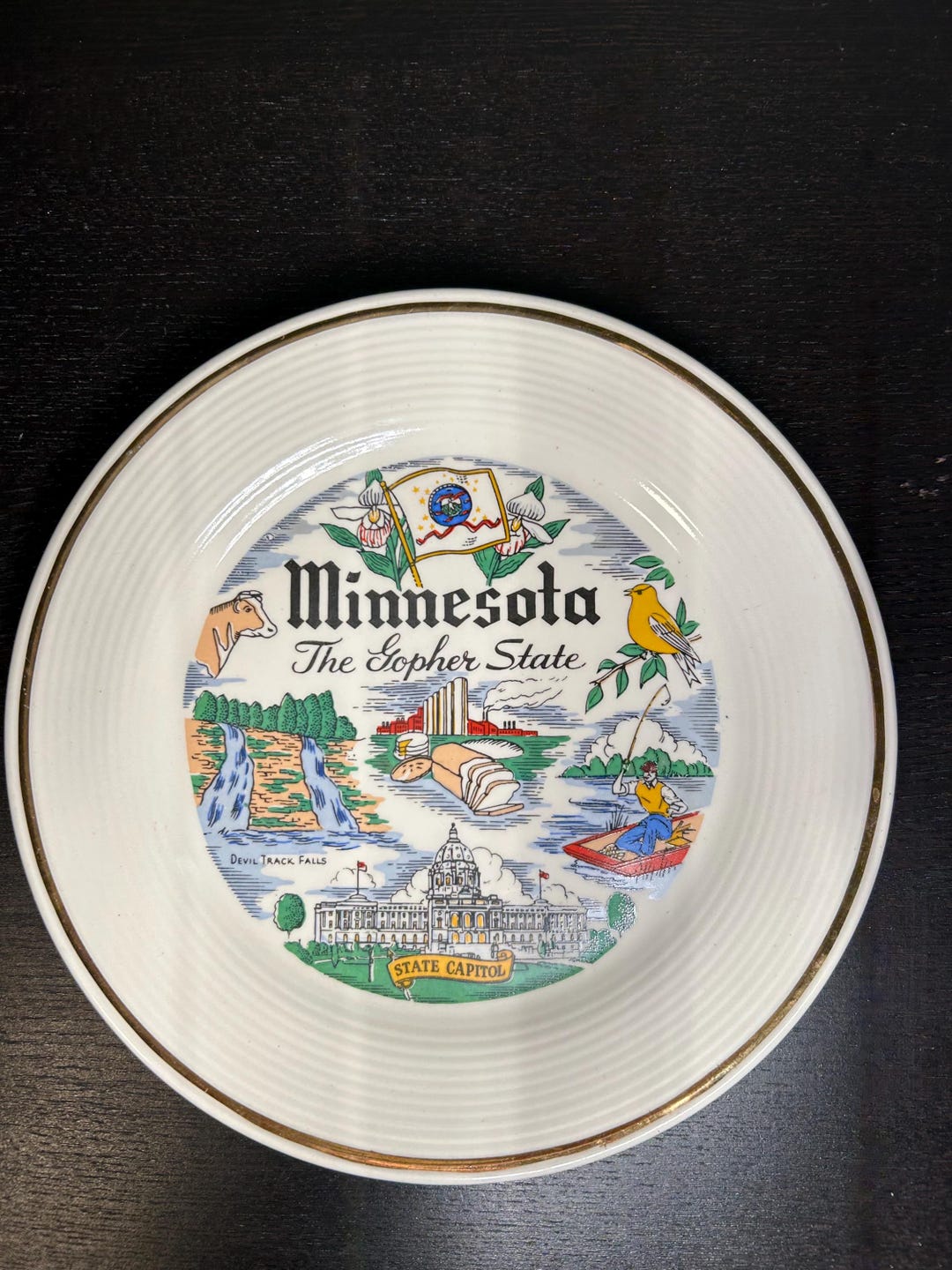 Minnesota “the Gopher State” Wall Plate - Etsy