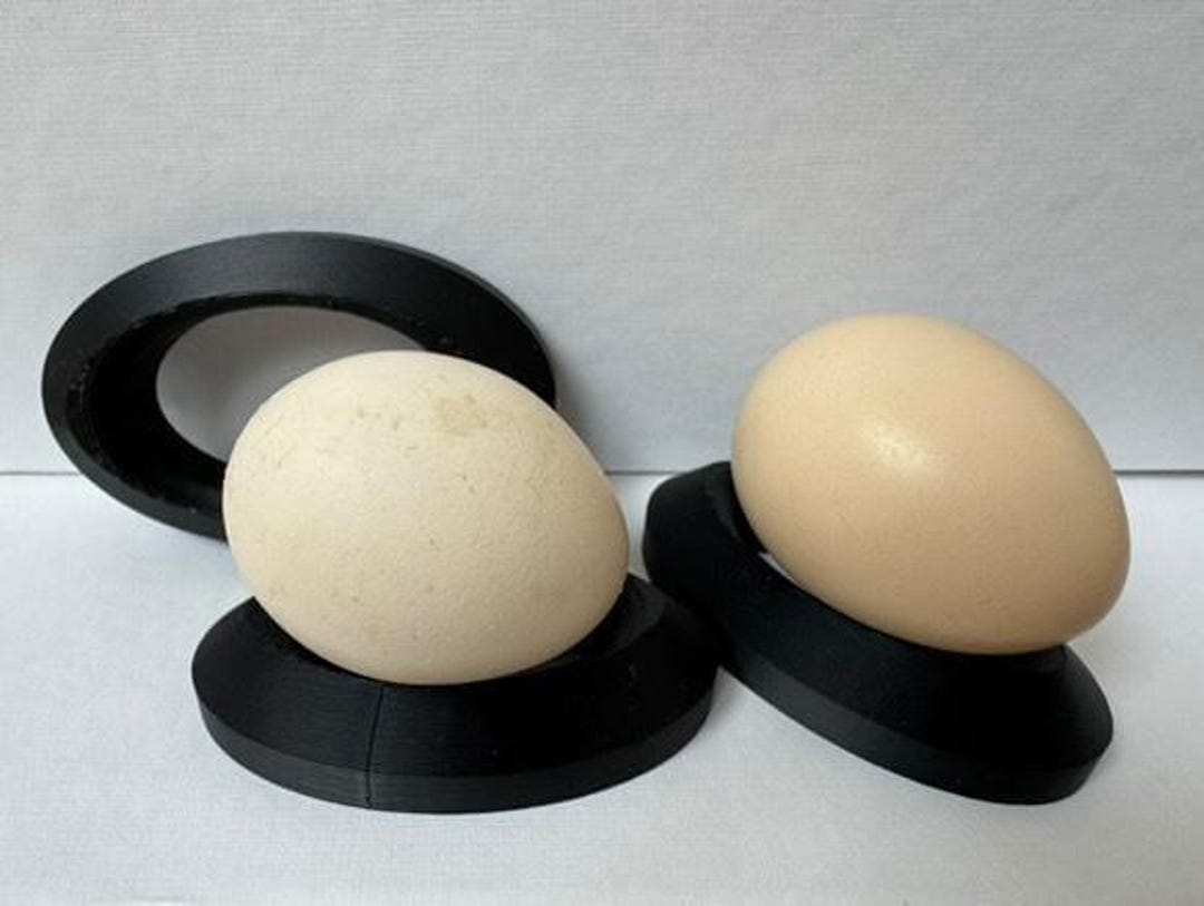 Hatching Rings for Chickens and Quail in Various Sizes and Colors - Etsy