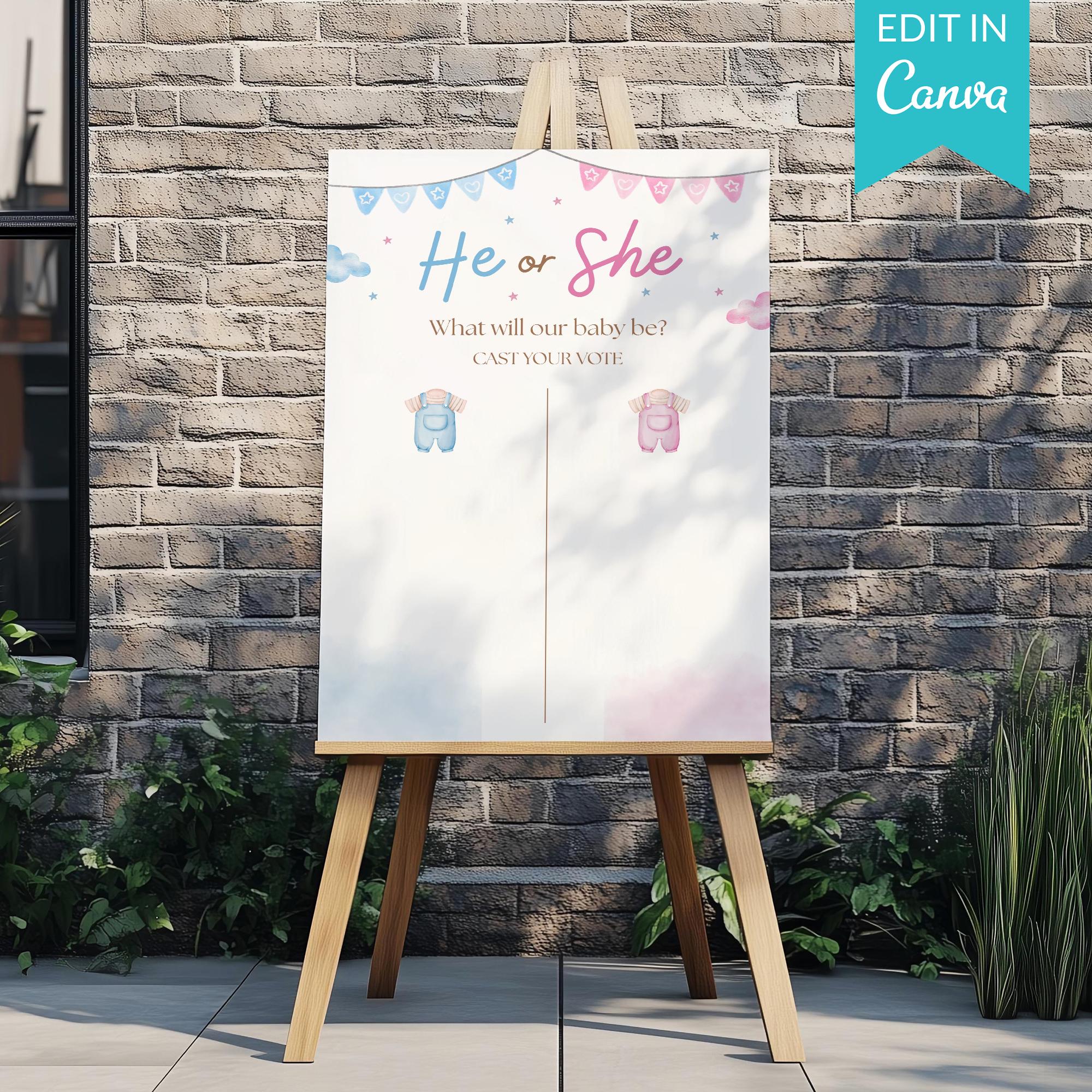 He or She What Will Baby Be | Gender Reveal Cast Your Vote Game | Baby ...
