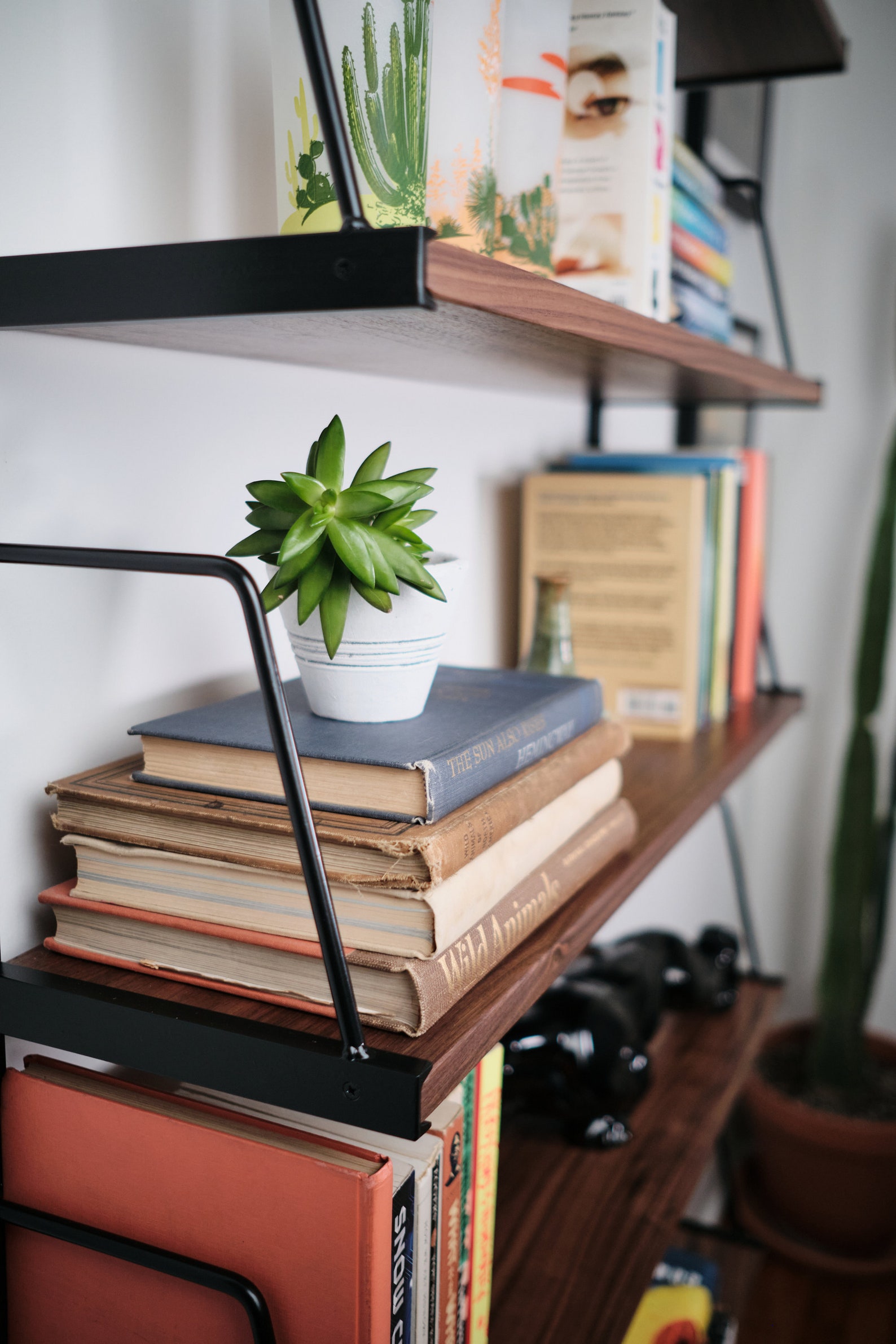 Modern Wall Mounted Bookshelf - Etsy