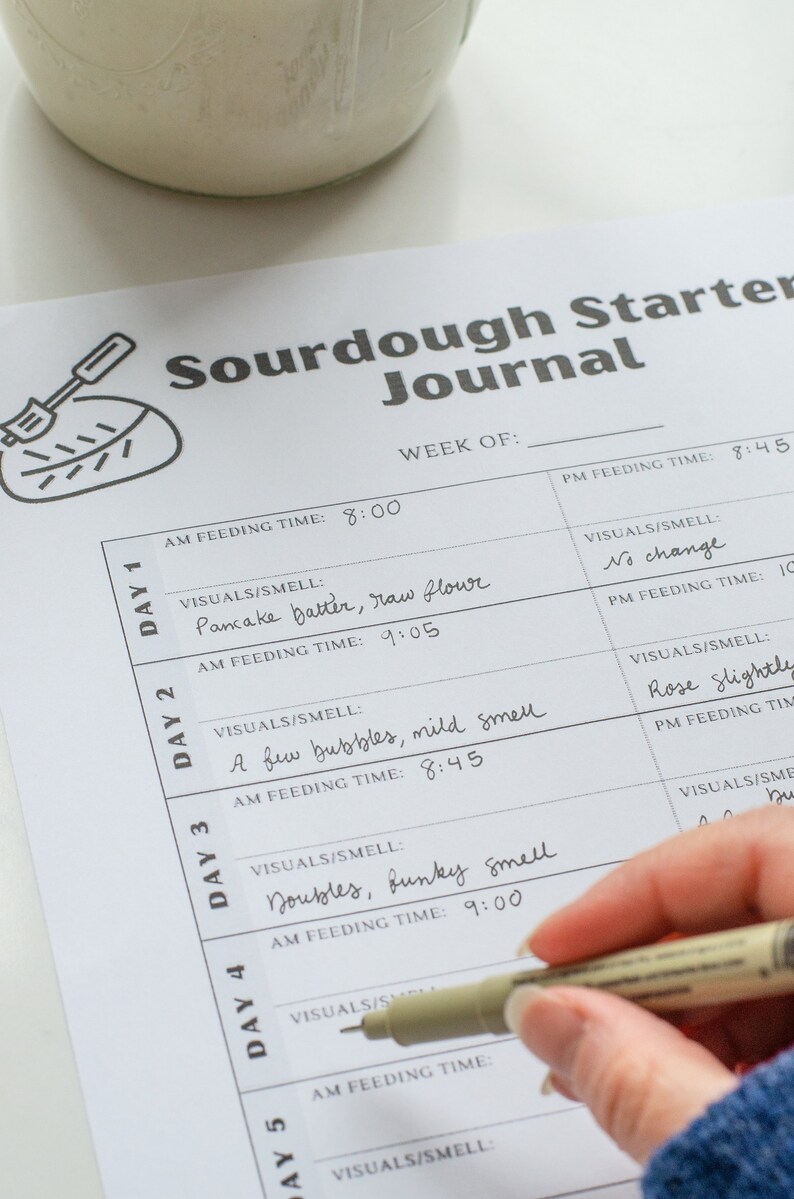 Sourdough Starter Journal Printable Journal Page Digital Download - Etsy
