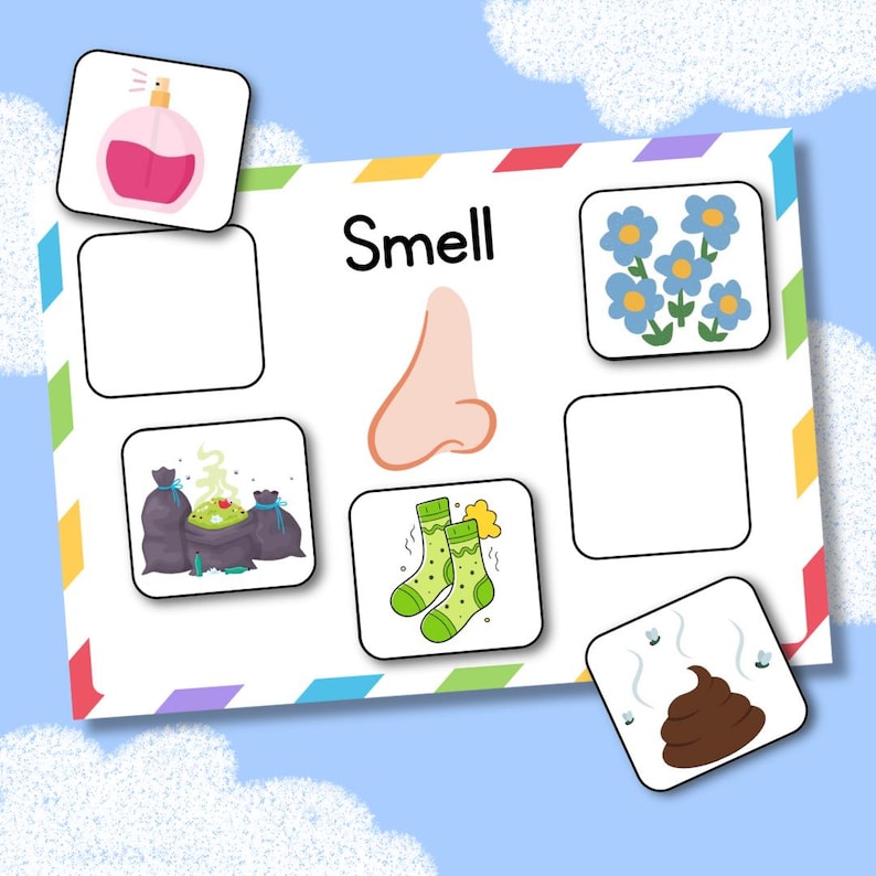 Five Senses Sorting Activity Printable, 5 Senses Sorting, Homeschool ...